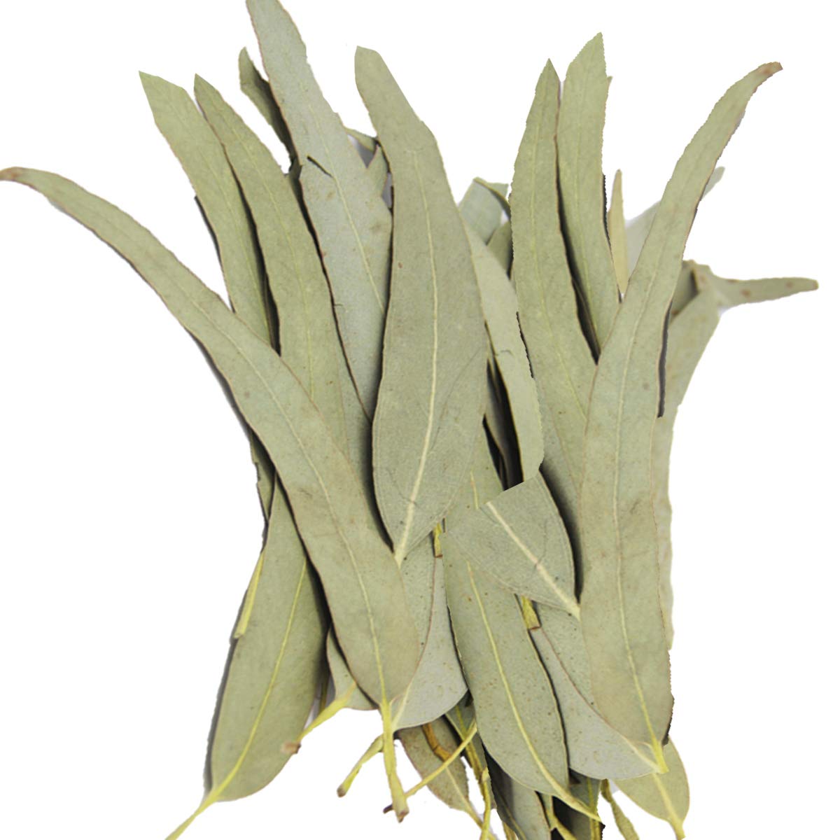 whole eucalyptus leaves for detox