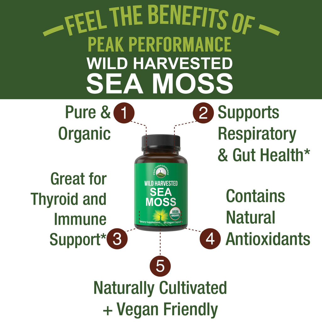 whole extract superfood for gut health