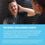 whole food DHEA multivitamin benefits