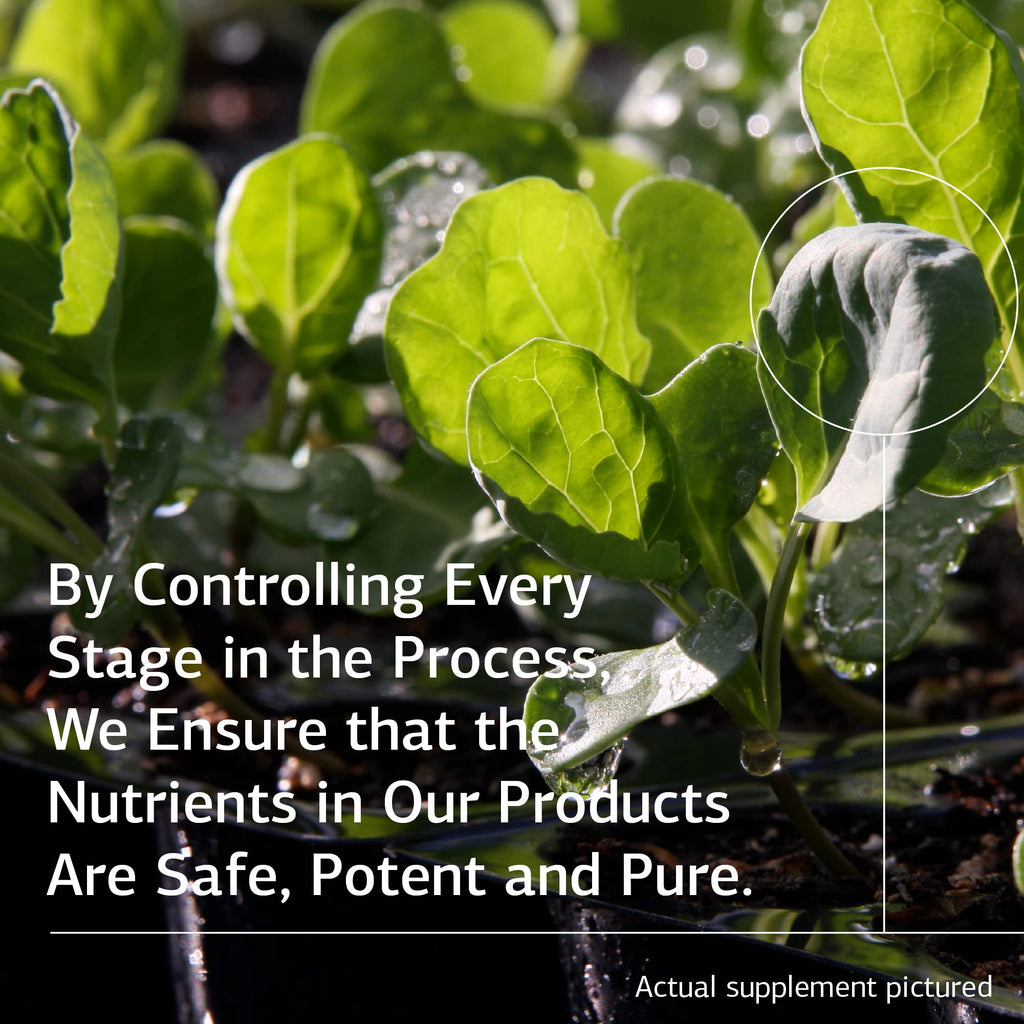 whole food health supplement capsules