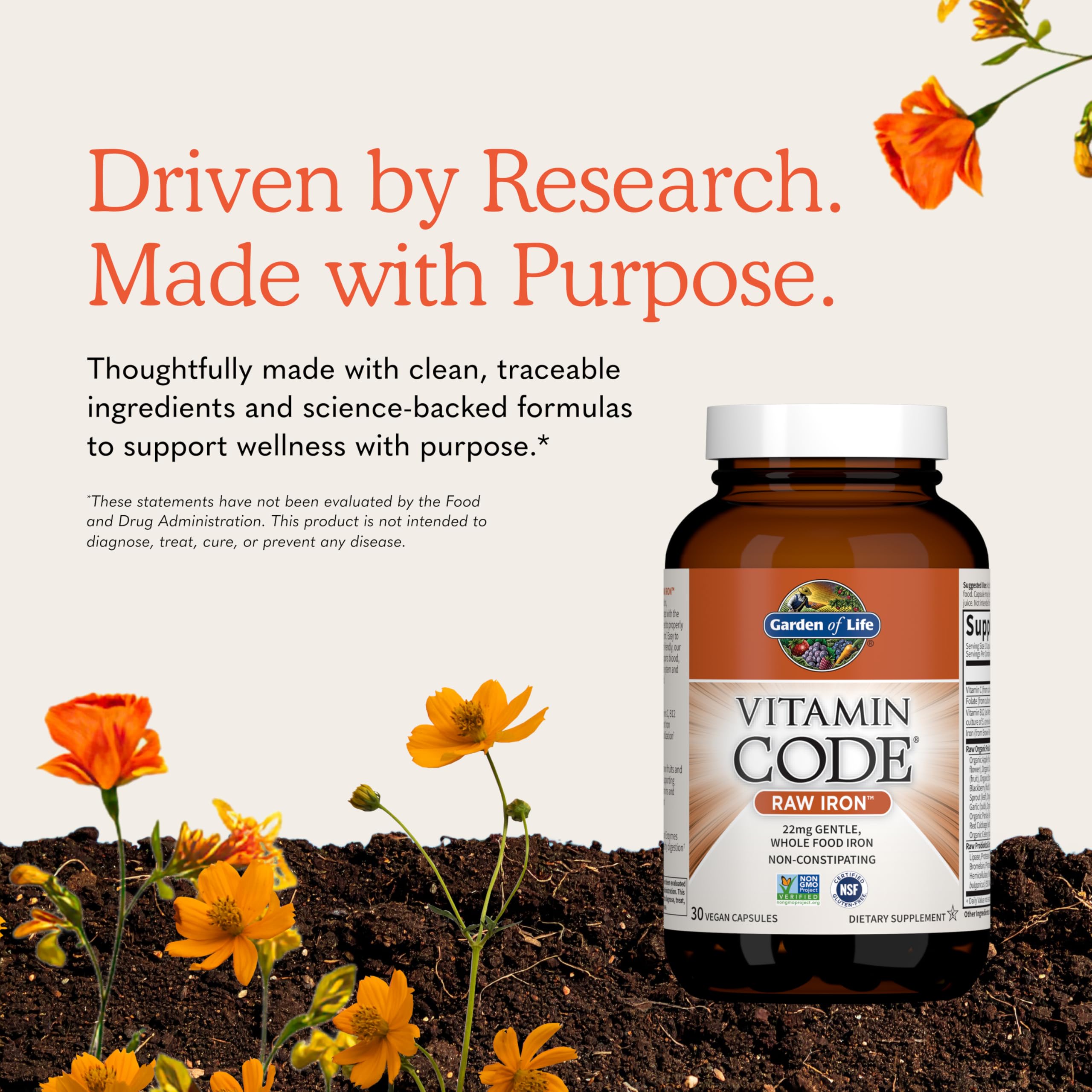 Whole food iron supplement