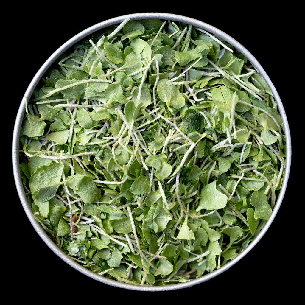 whole food microgreens for vitality