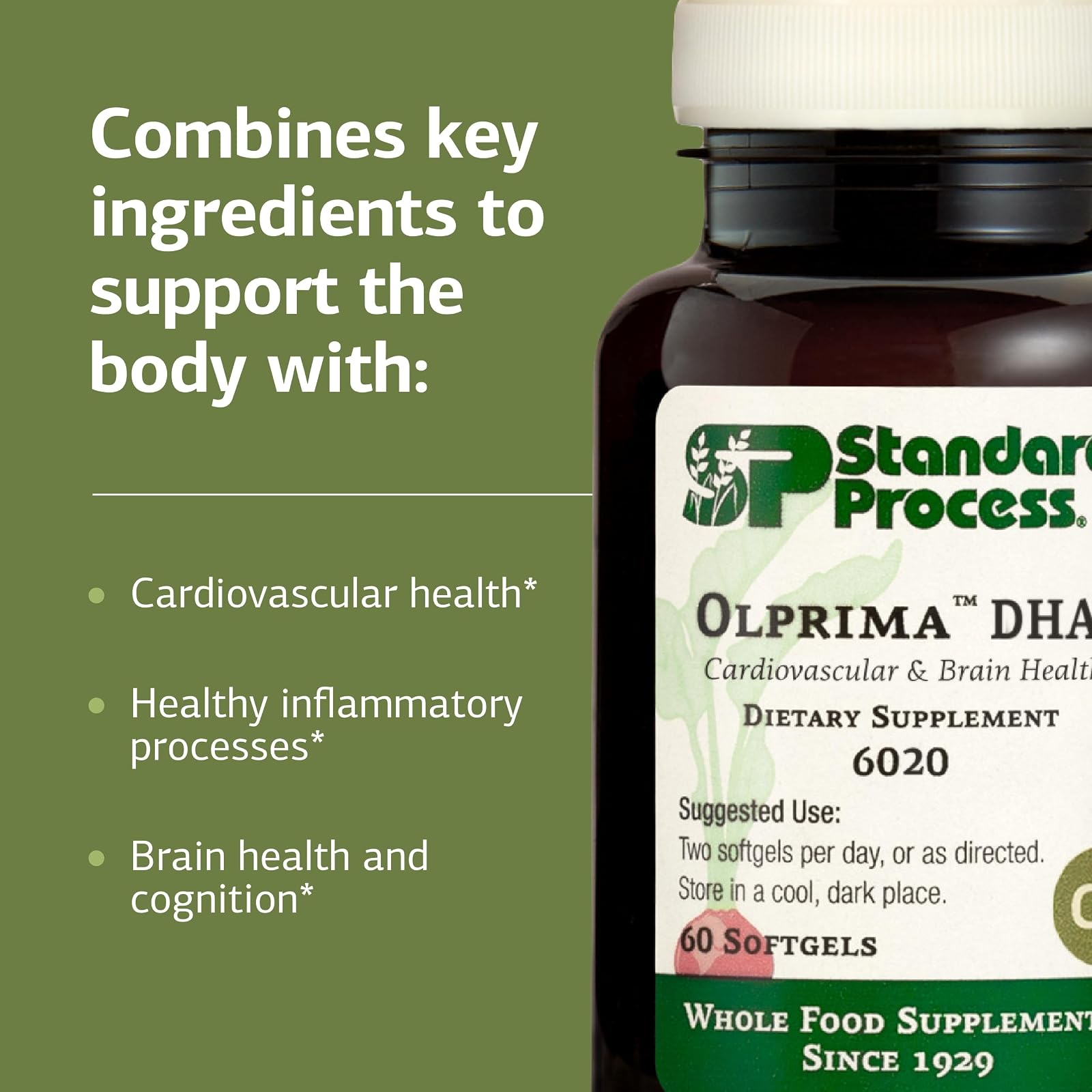 whole food multivitamin benefits