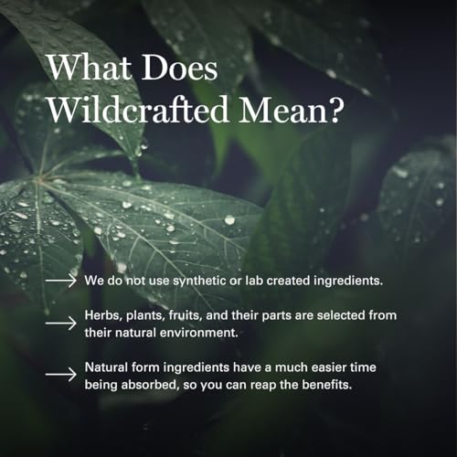 whole food multivitamin benefits
