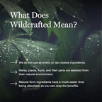 whole food multivitamin benefits