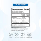 whole food multivitamin benefits