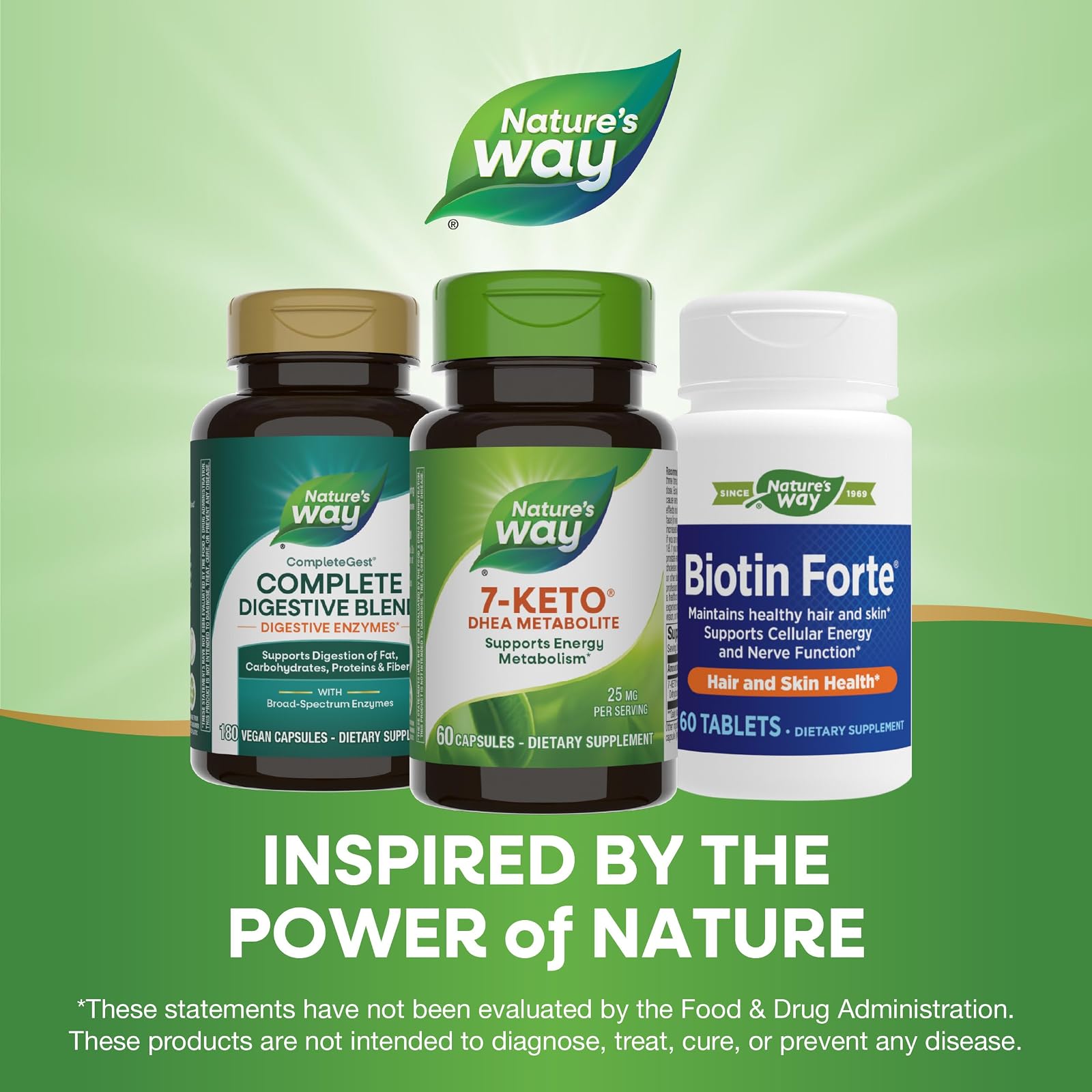 whole food multivitamin benefits