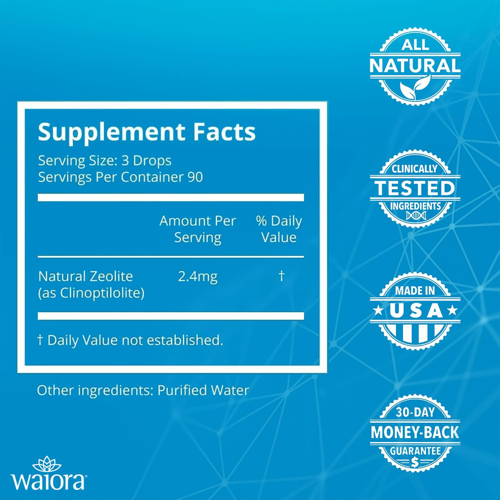 whole food multivitamin benefits