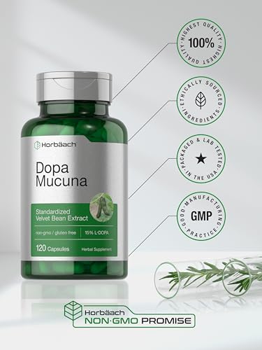 whole food multivitamin benefits