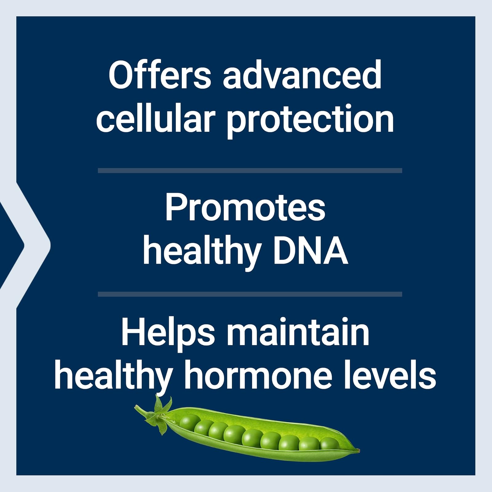 Whole food multivitamin blend for vitality