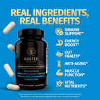 whole food multivitamin capsules for energy