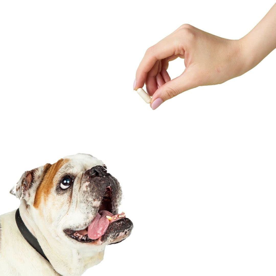 whole food multivitamin empty capsule option