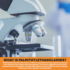 whole food multivitamin featuring Palmitoylethanolamide