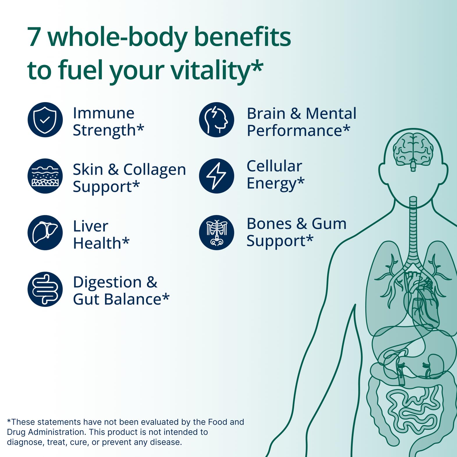 Whole food multivitamin for active adults