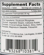 whole food multivitamin for active lifestyle