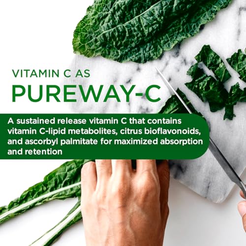 whole food multivitamin for active lifestyle