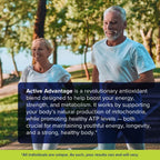 whole food multivitamin for active lifestyle