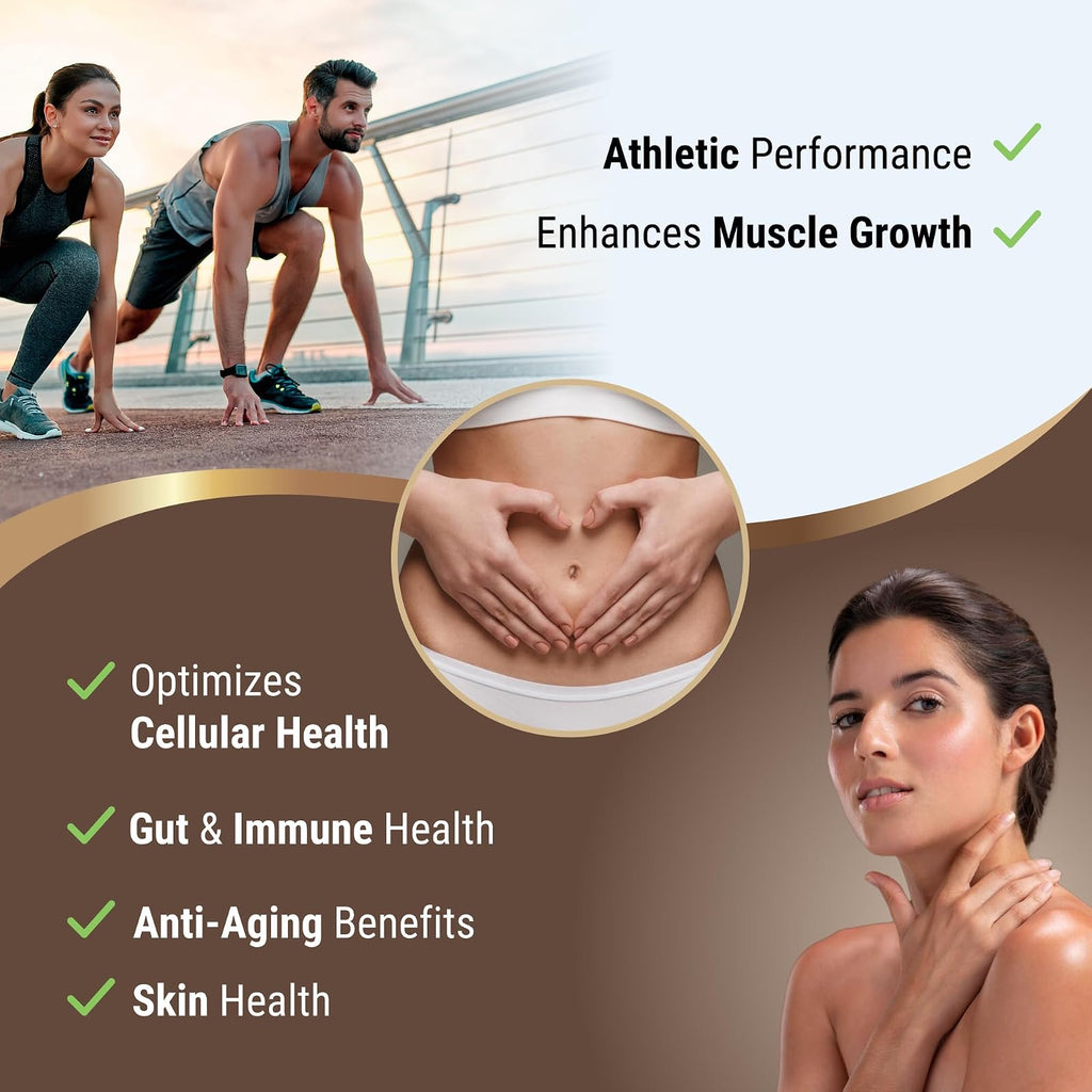 whole food multivitamin for active lifestyle