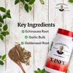 whole food multivitamin for active lifestyles