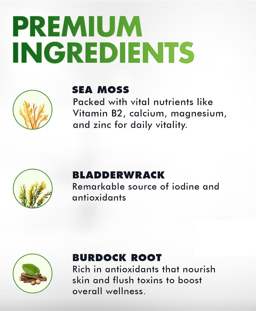whole food multivitamin for active lifestyles