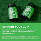 whole food multivitamin for active lifestyles