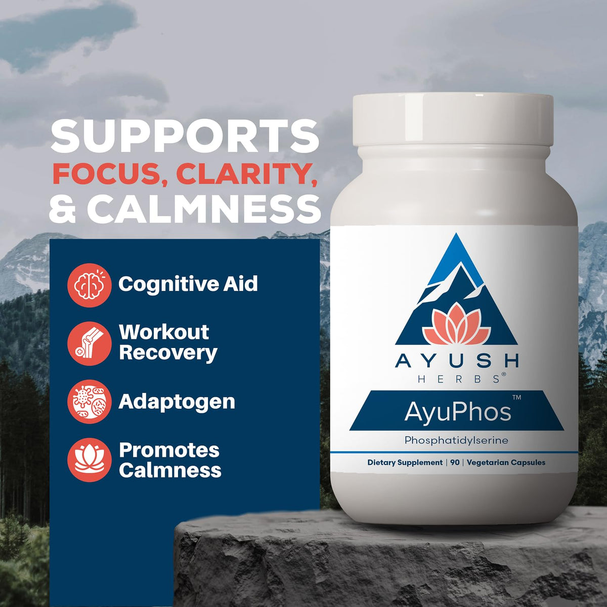whole food multivitamin for active lifestyles