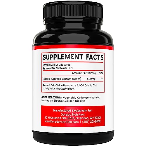 whole food multivitamin for active lifestyles