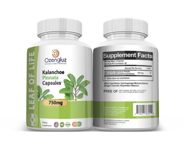 whole food multivitamin for active lifestyles