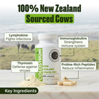 whole food multivitamin for active lifestyles