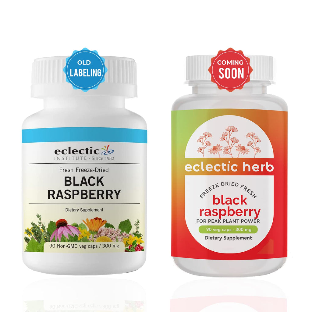 whole food multivitamin for active lifestyles