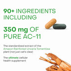 whole food multivitamin for active lifestyles