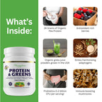 whole food multivitamin for active lifestyles