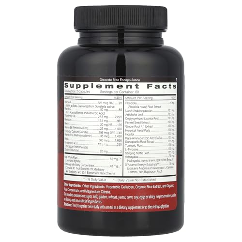 whole food multivitamin for active lifestyles