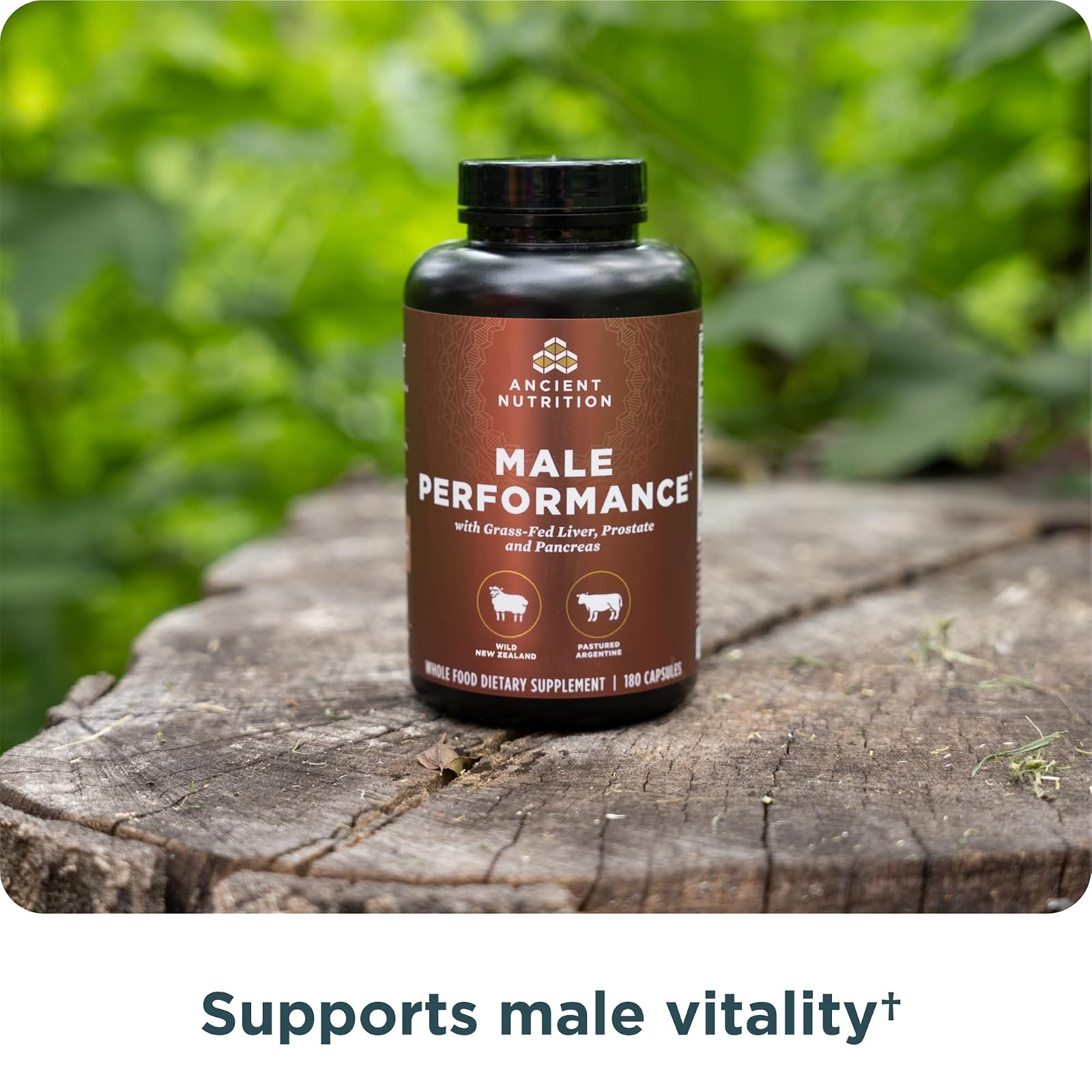 whole food multivitamin for active men