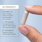 whole food multivitamin for adrenal health