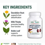 whole food multivitamin for adults