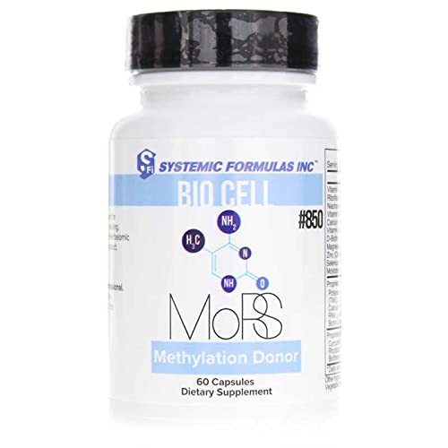 whole food multivitamin for adults