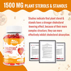whole food multivitamin for adults