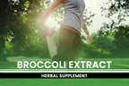 whole food multivitamin for adults