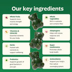 whole food multivitamin for adults