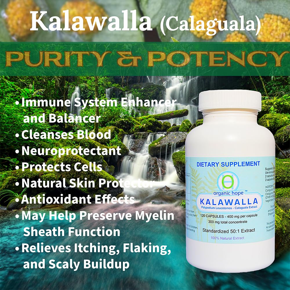 whole food multivitamin for adults