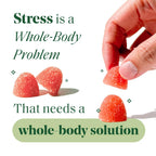 whole food multivitamin for adults