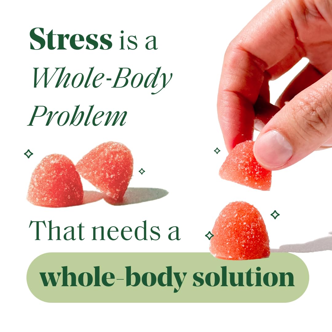 whole food multivitamin for adults