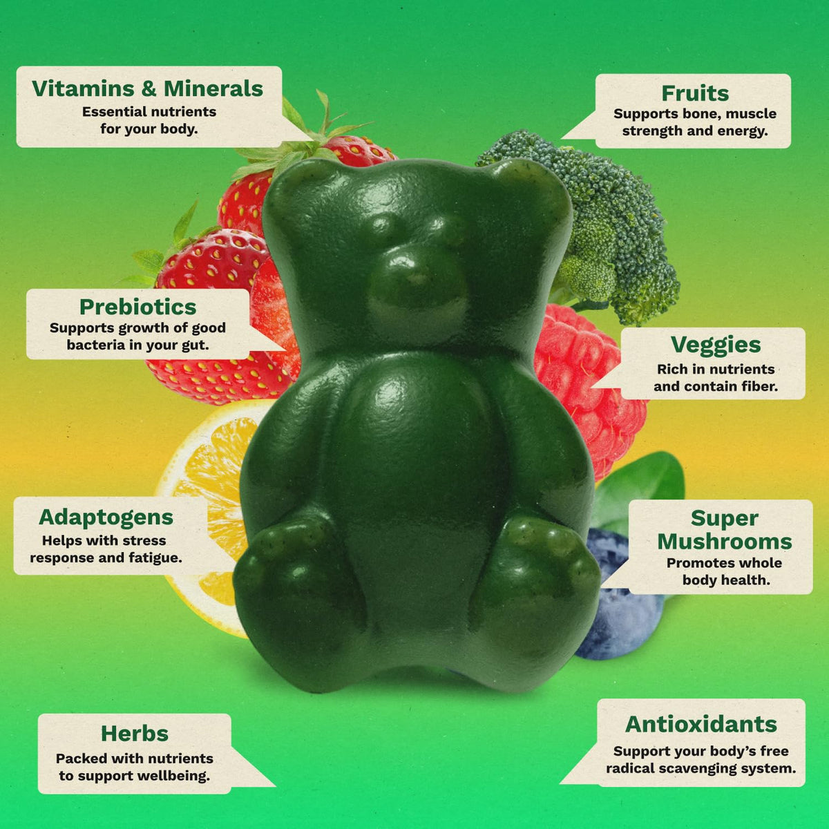 whole food multivitamin for adults