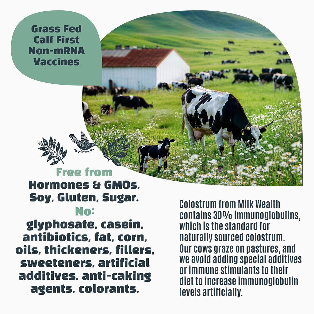 whole food multivitamin for balanced diet