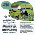 whole food multivitamin for balanced diet