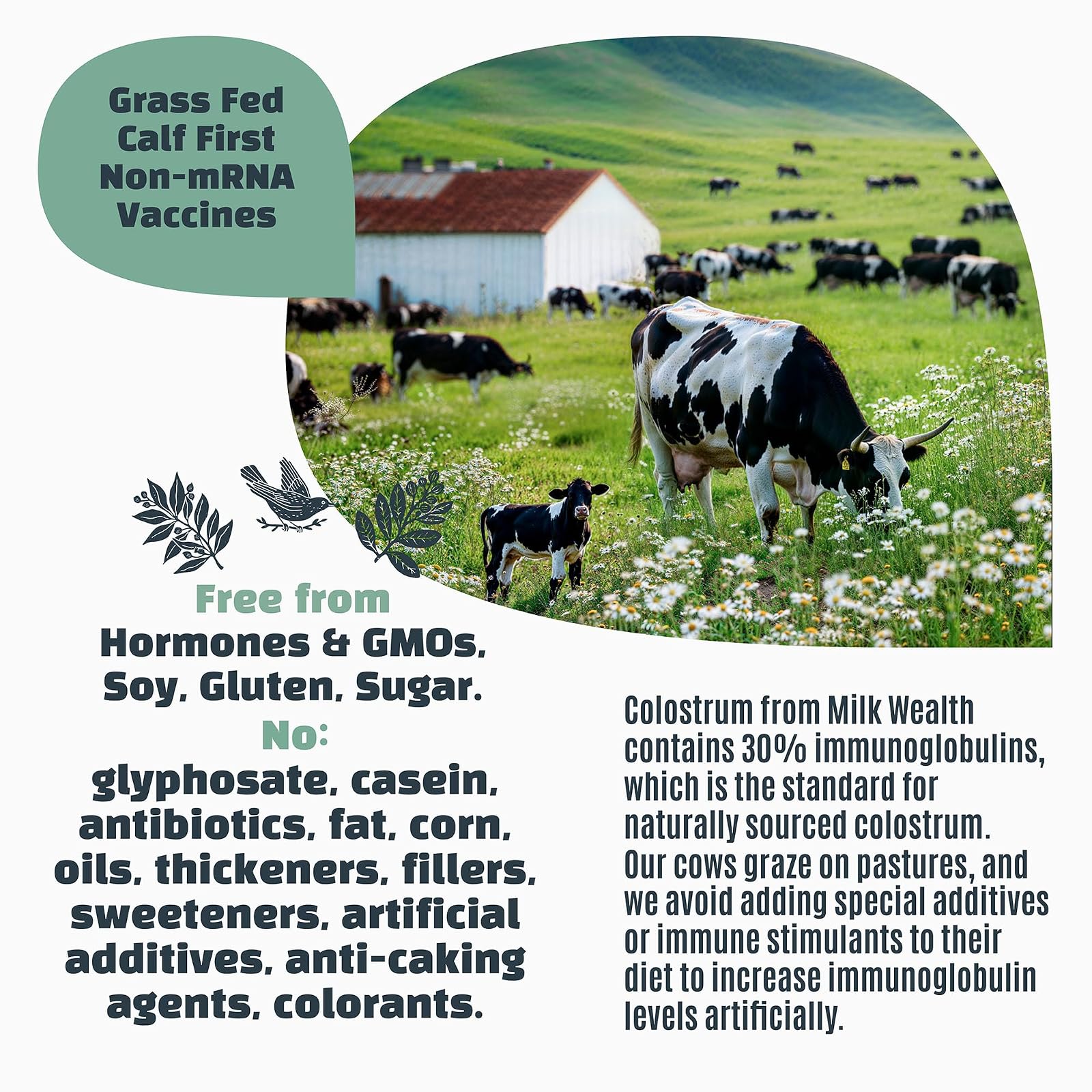 whole food multivitamin for balanced diet