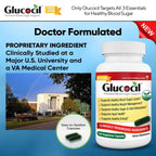 whole food multivitamin for balanced nutrition