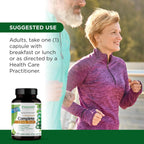 whole food multivitamin for better absorption