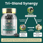 whole food multivitamin for better absorption